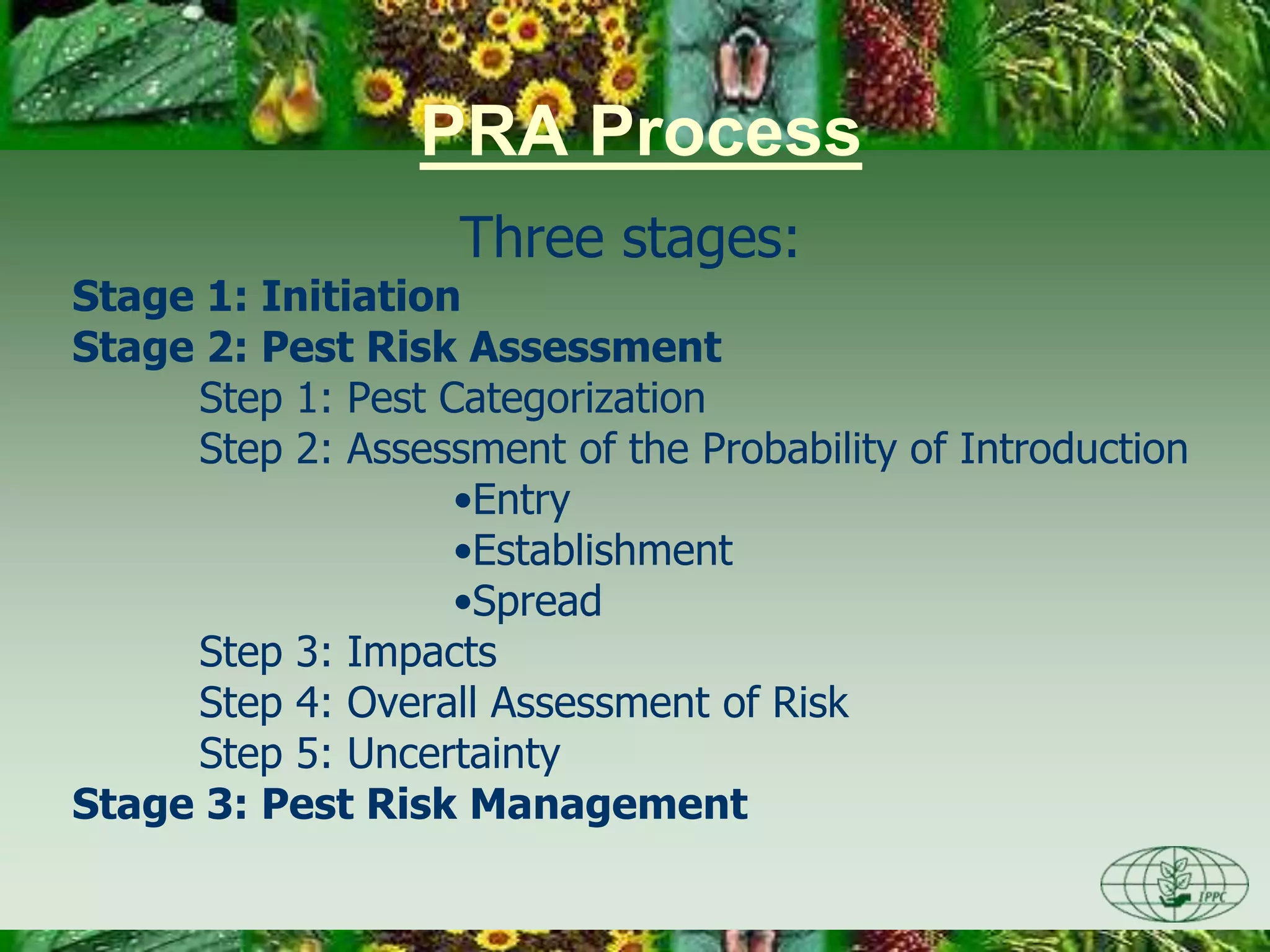 Pest risk analysis | PPTX