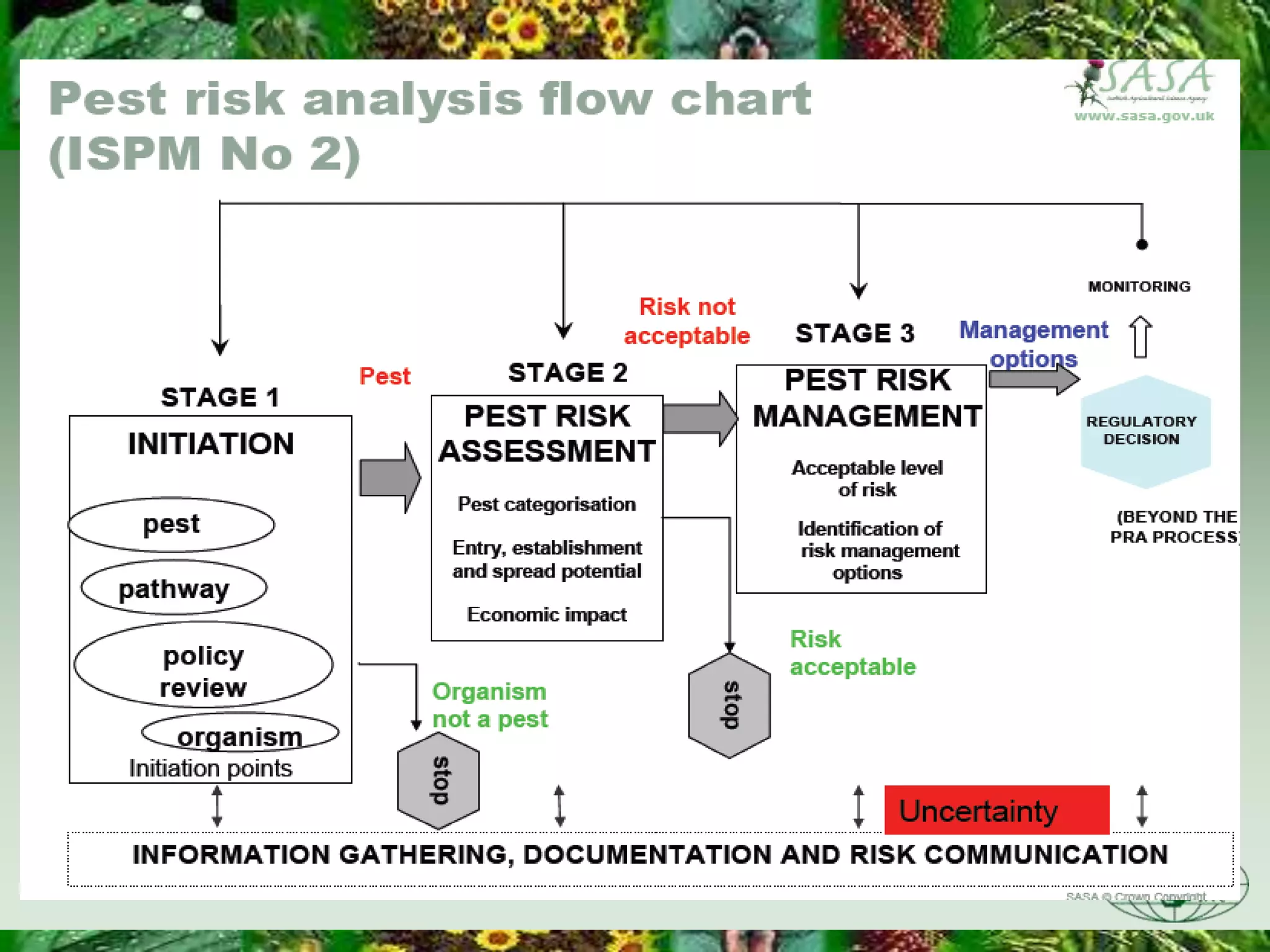 Pest risk analysis | PPTX