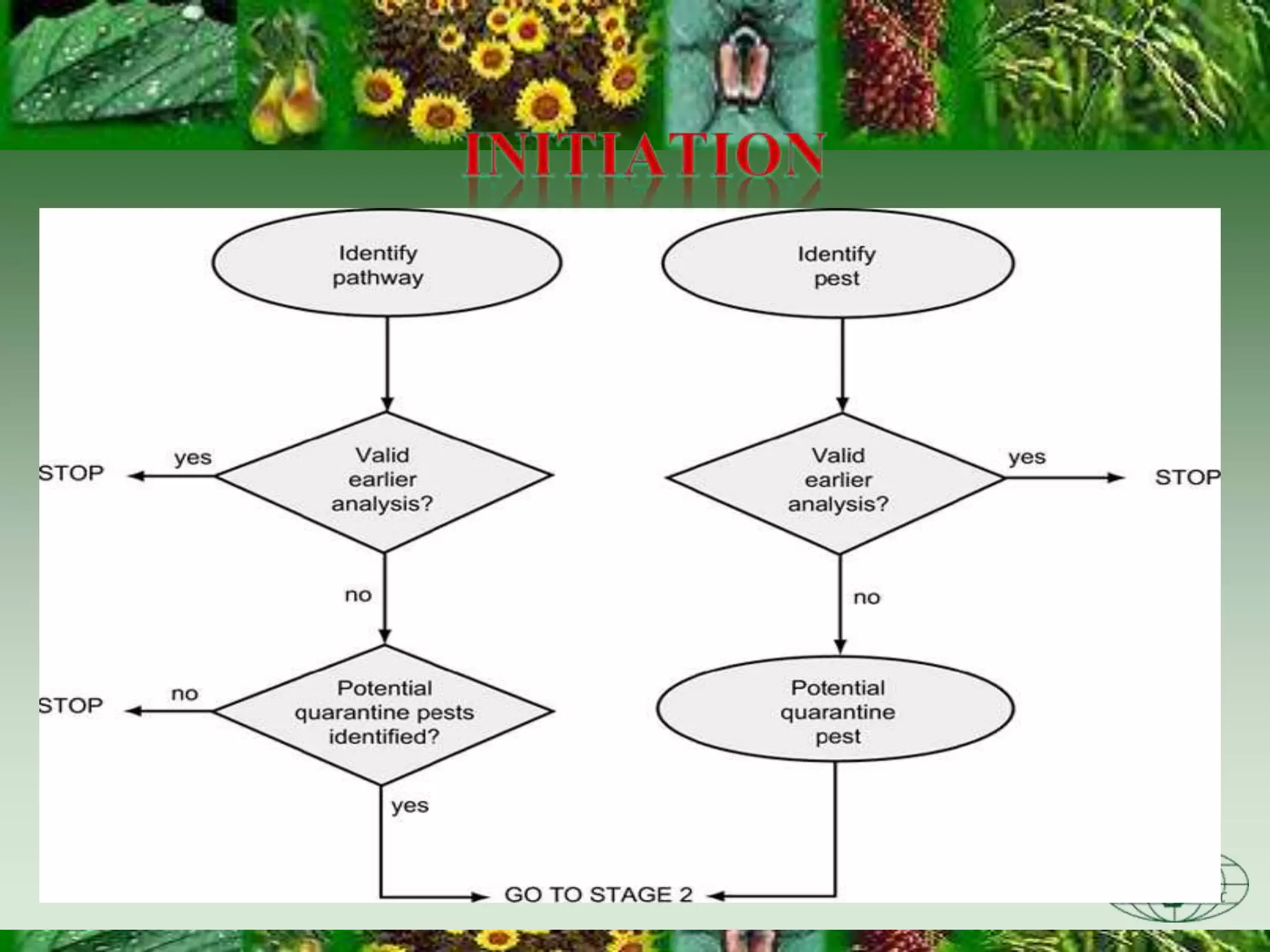 Pest risk analysis | PPTX