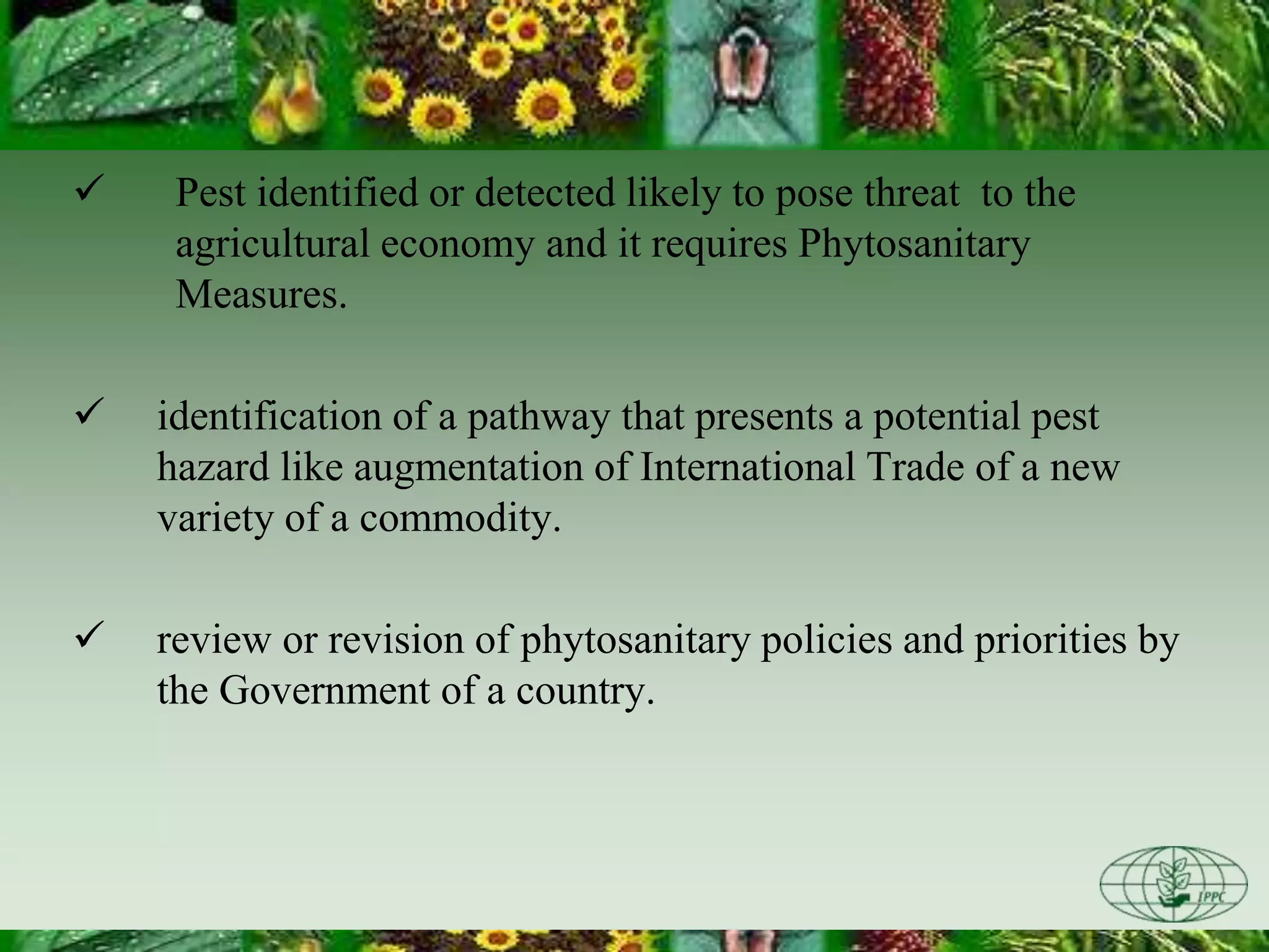 Pest risk analysis | PPTX