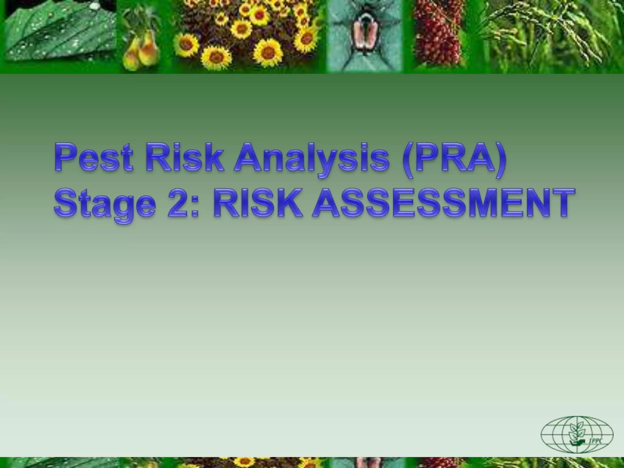 Pest risk analysis | PPTX
