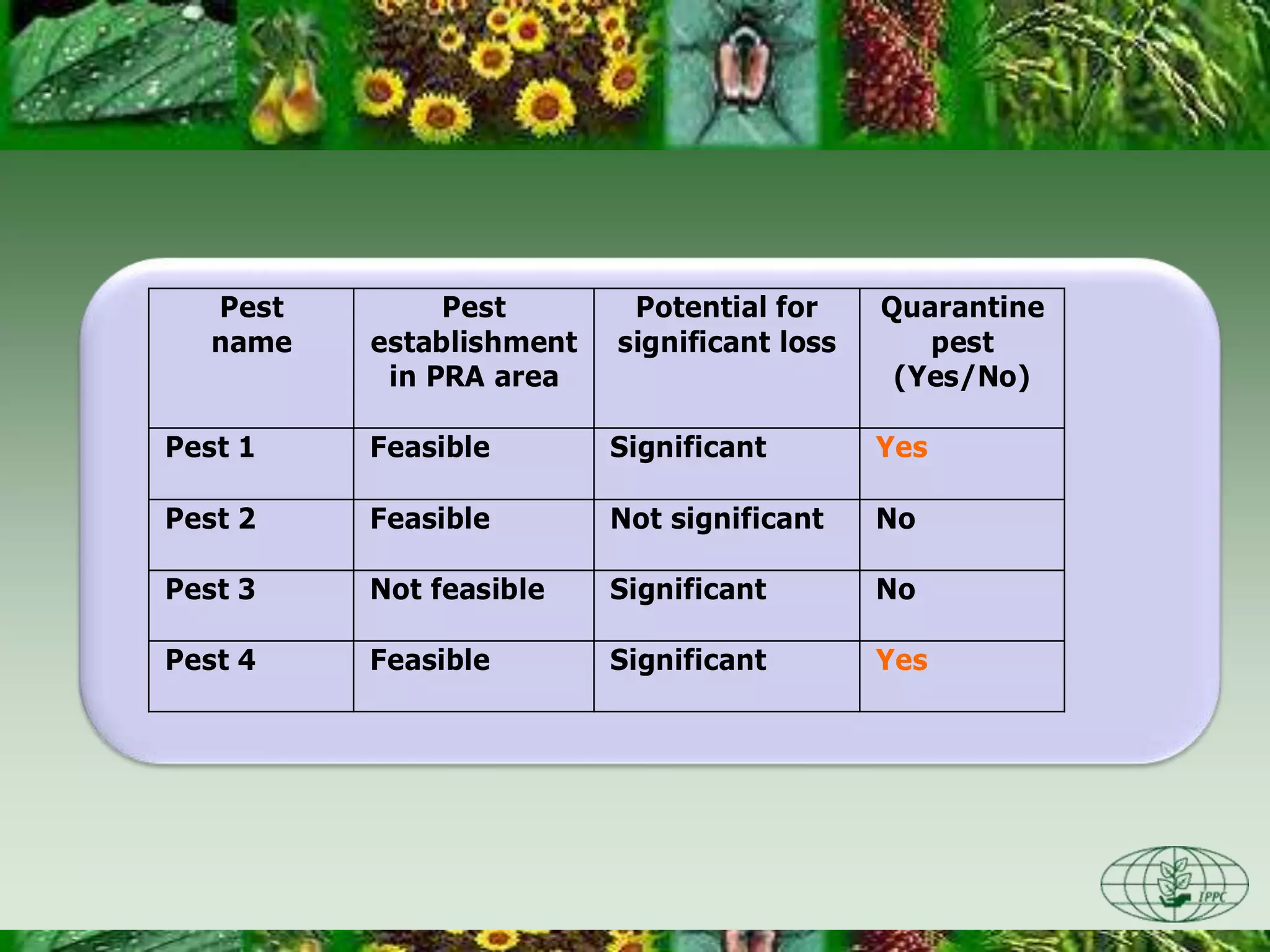 Pest risk analysis | PPTX