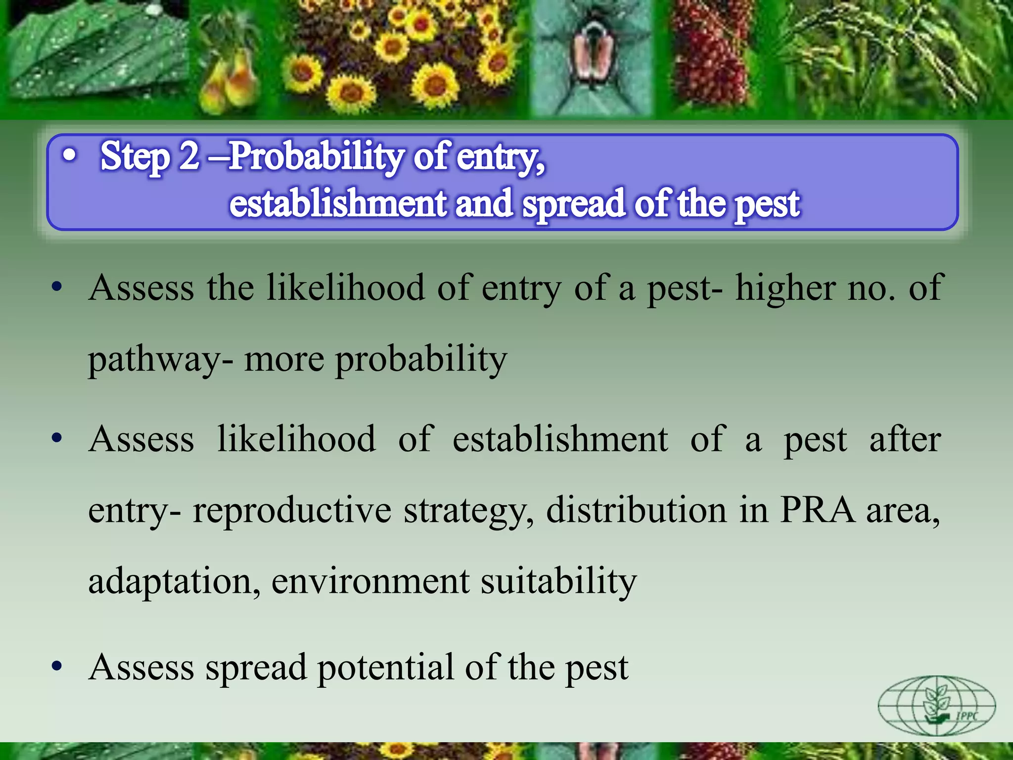 Pest risk analysis | PPTX