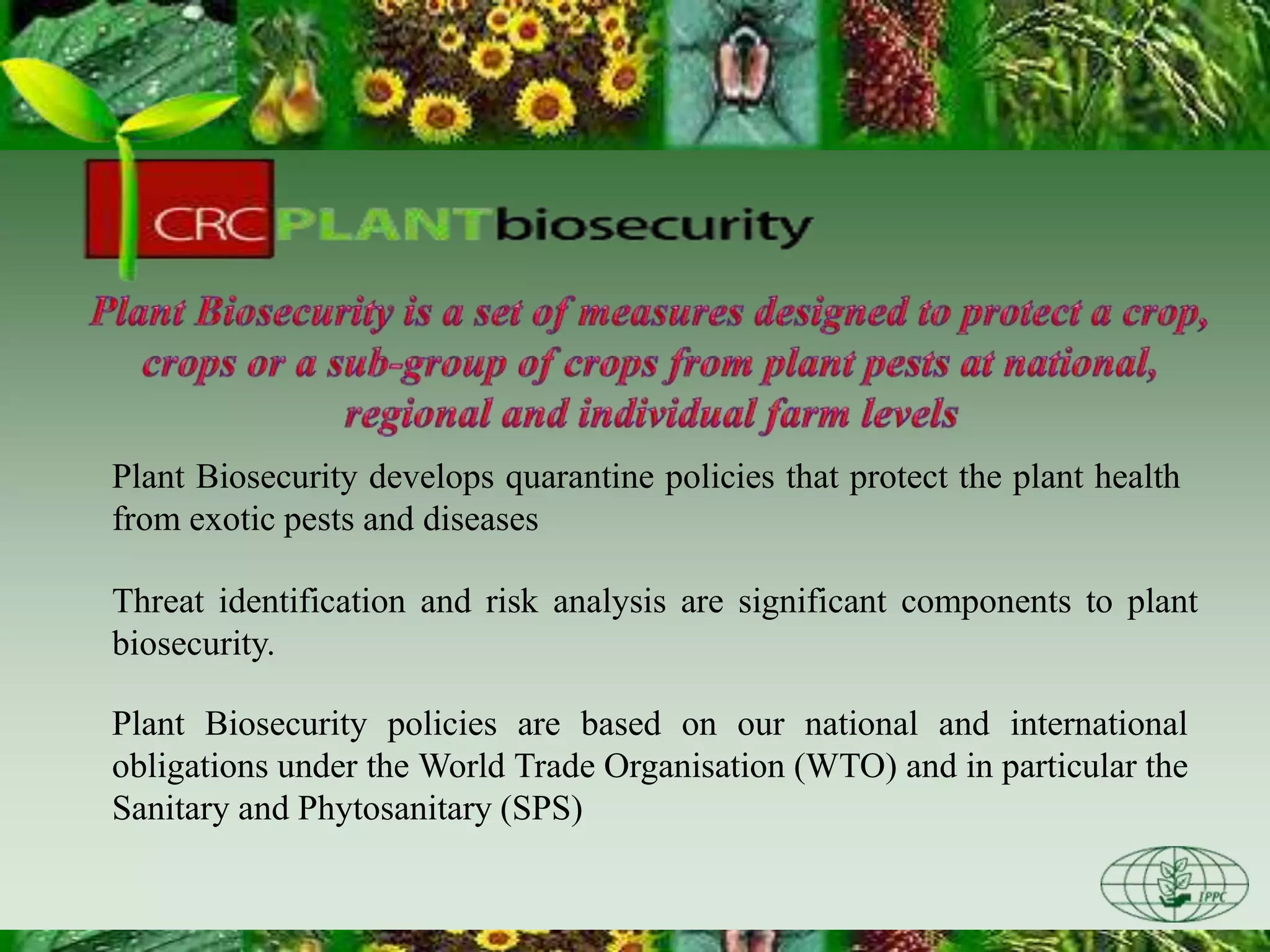 Pest risk analysis | PPTX