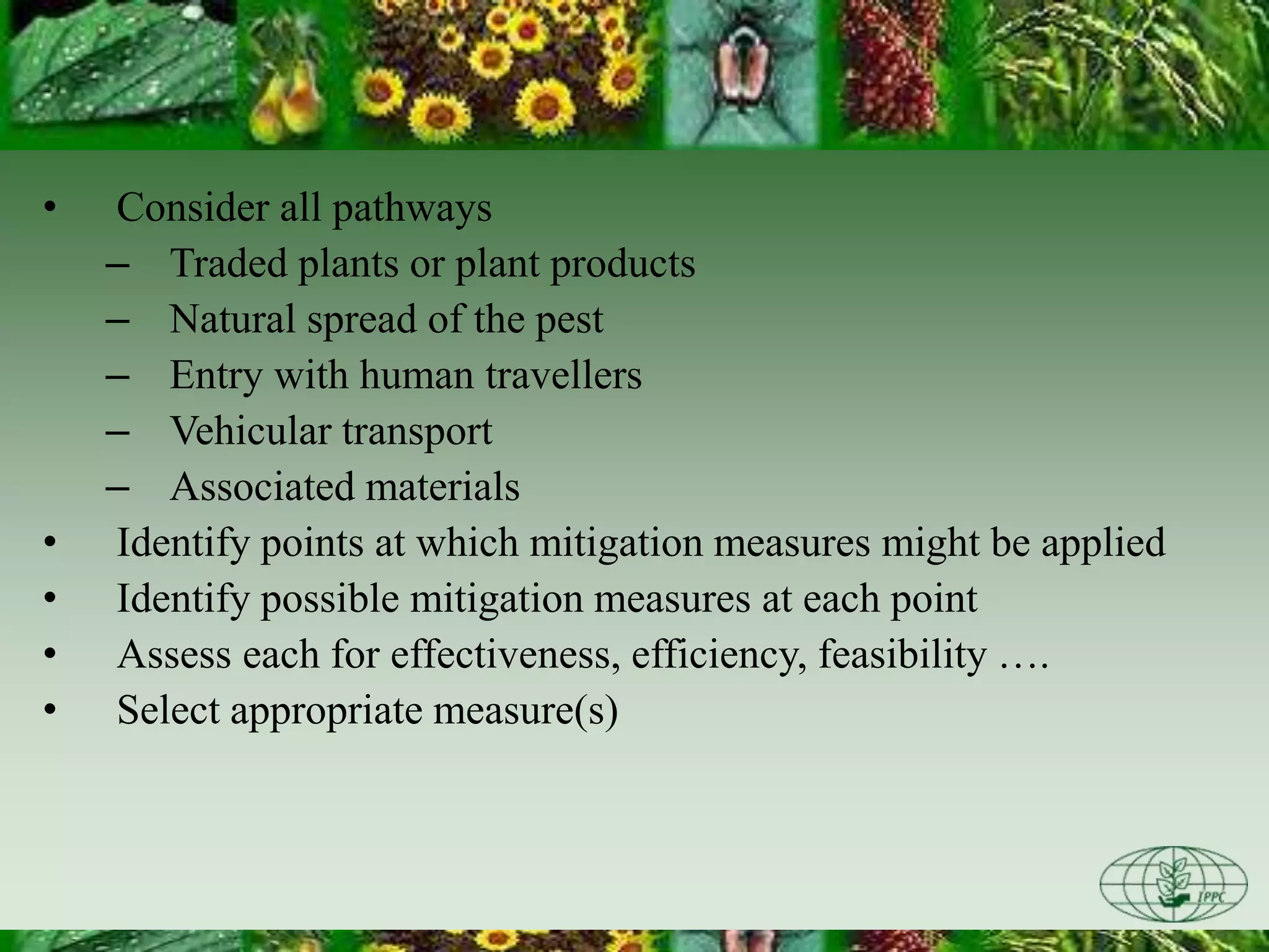 Pest risk analysis | PPTX