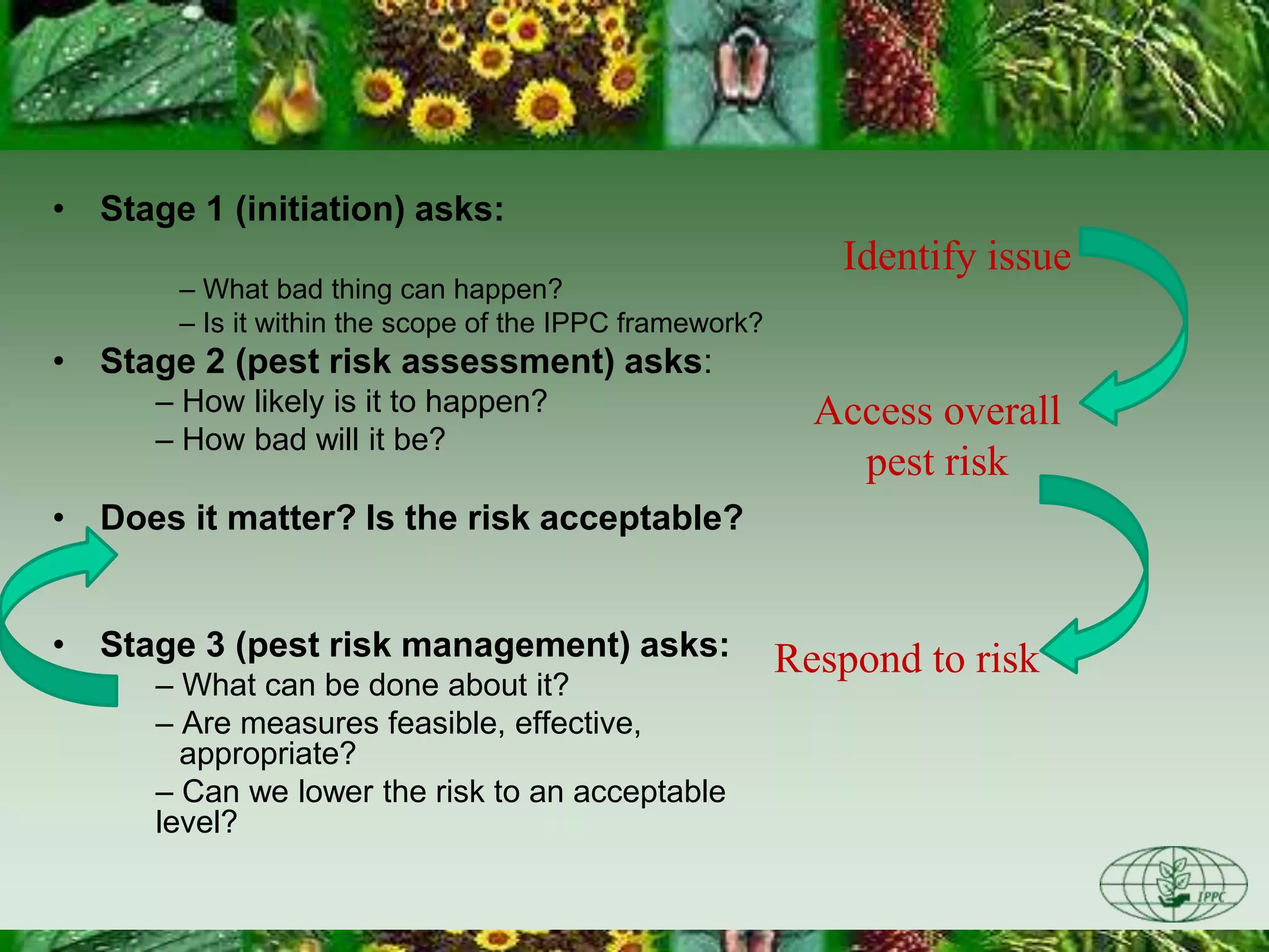 Pest risk analysis | PPTX