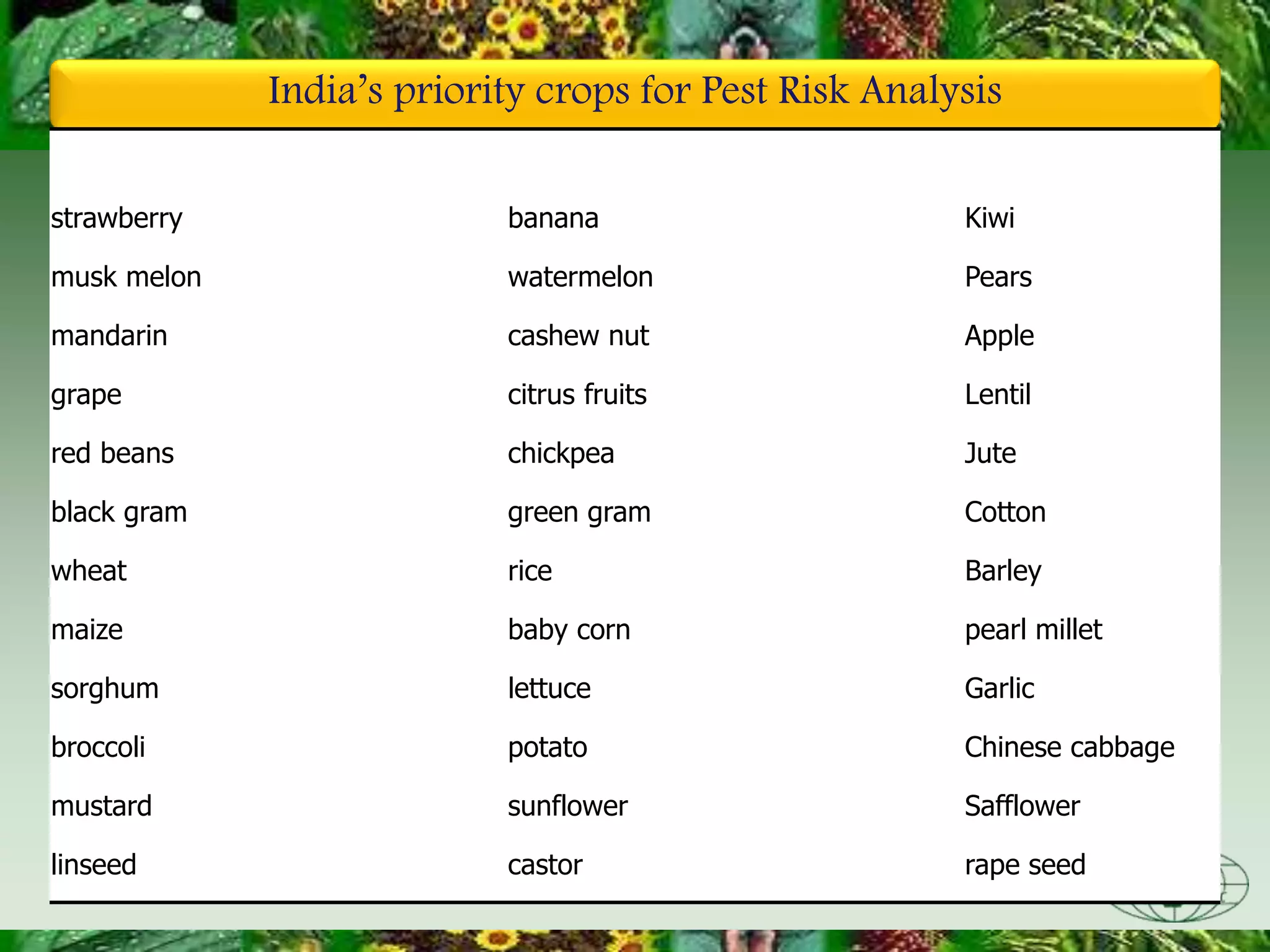 Pest risk analysis | PPTX