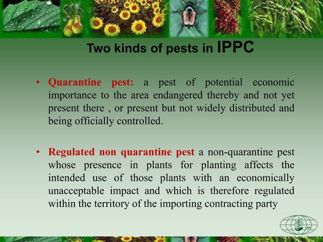 Pest risk analysis | PPTX