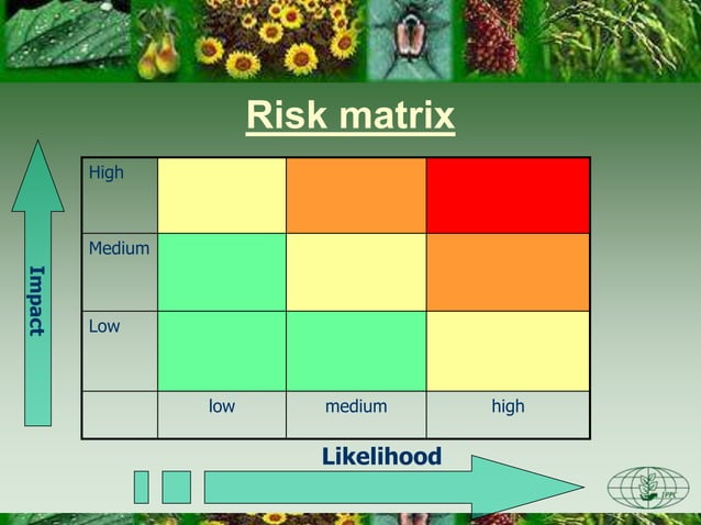 Pest risk analysis | PPTX