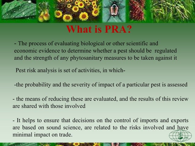 Pest risk analysis | PPTX