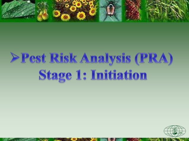 Pest risk analysis | PPTX