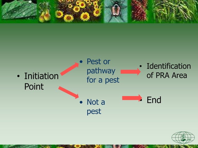 Pest risk analysis | PPTX