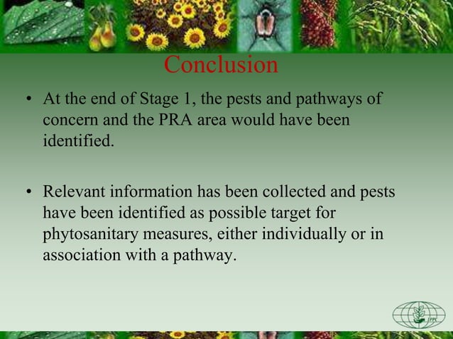 Pest risk analysis | PPTX
