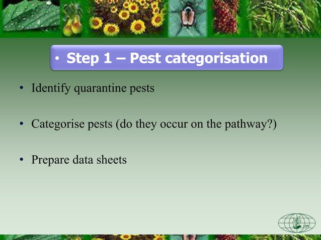 Pest risk analysis | PPTX