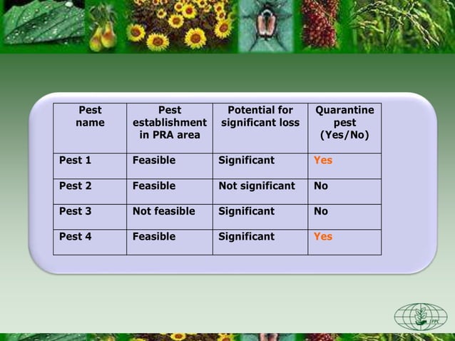 Pest risk analysis | PPTX