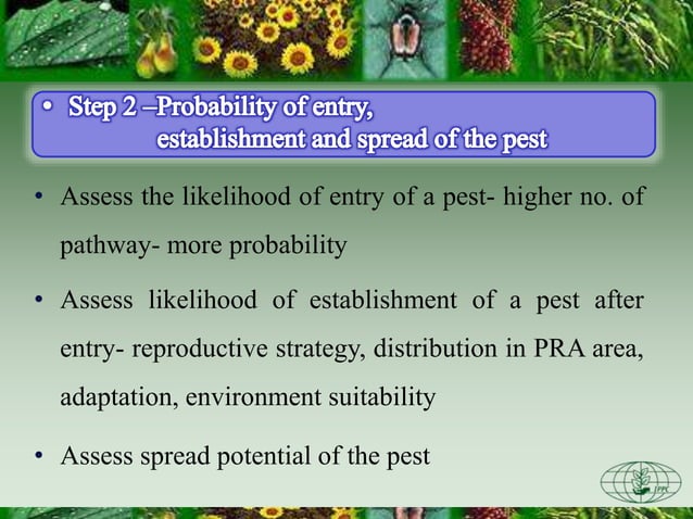 Pest risk analysis | PPTX