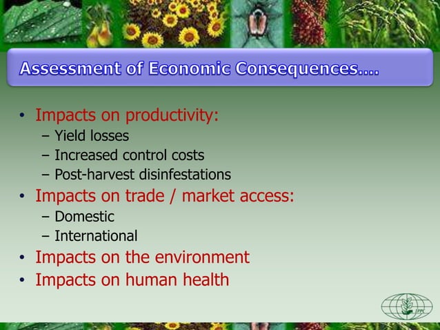 Pest risk analysis | PPTX