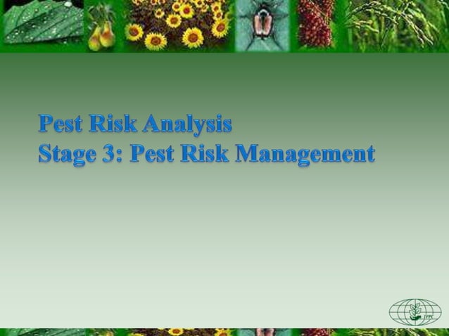 Pest risk analysis | PPTX