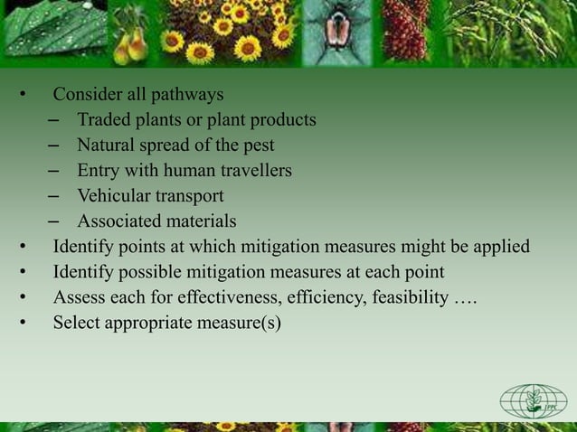 Pest risk analysis | PPTX