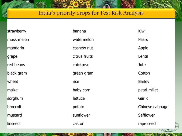 Pest risk analysis | PPTX