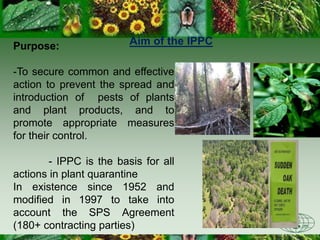 Pest risk analysis | PPTX