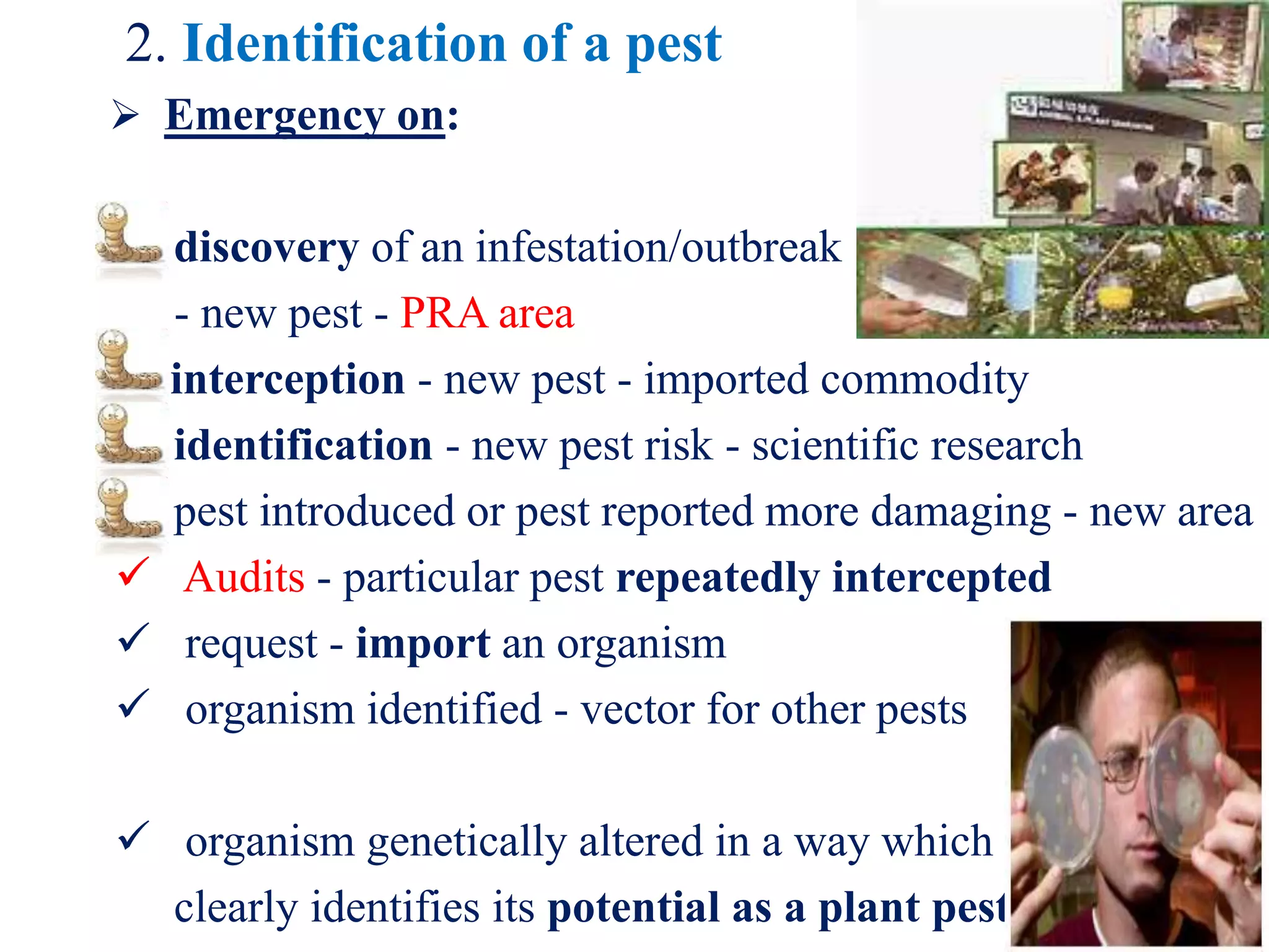 Pest risk analysis | PPTX