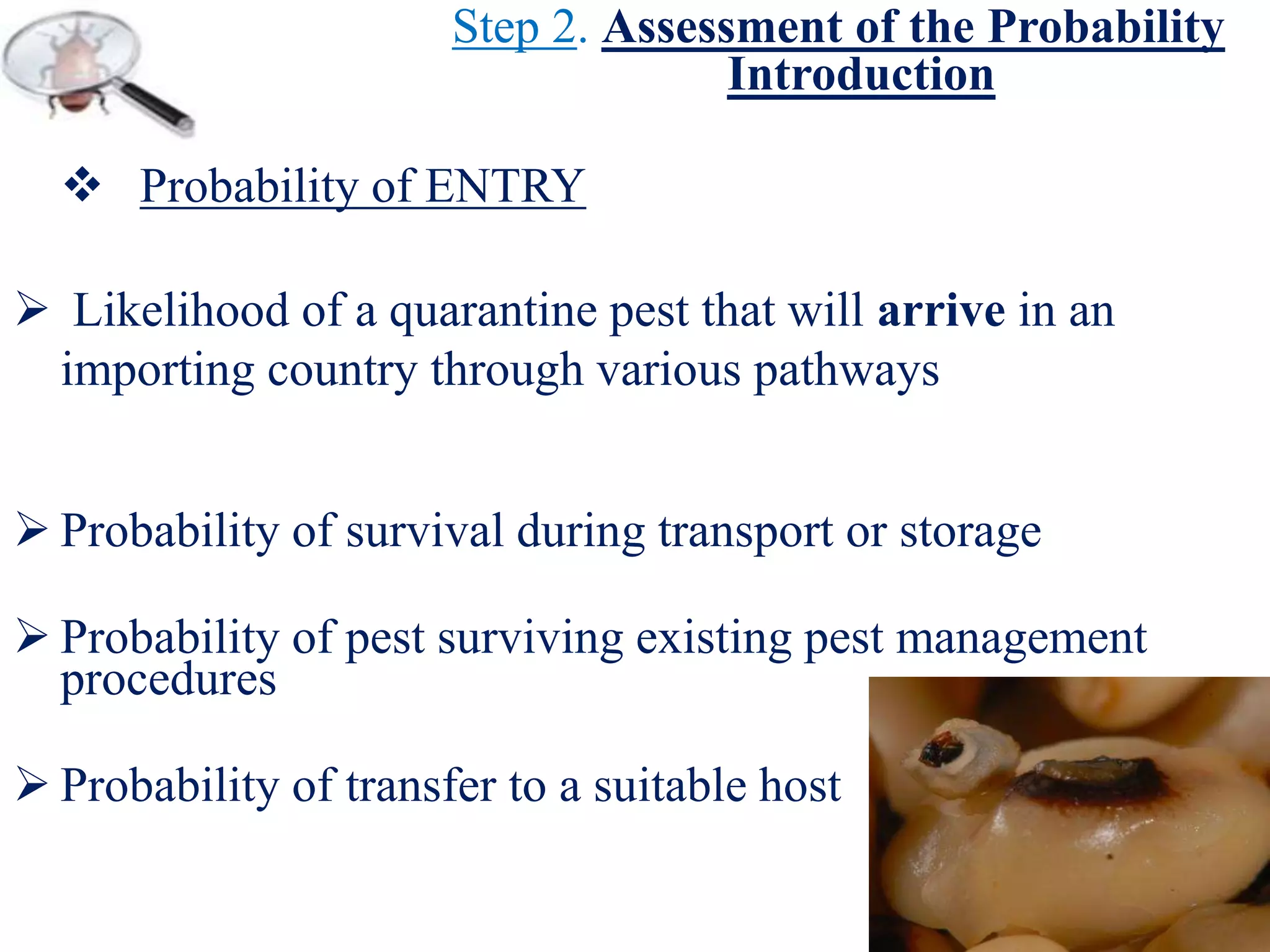 Pest risk analysis | PPTX | Gardening | Home & Garden