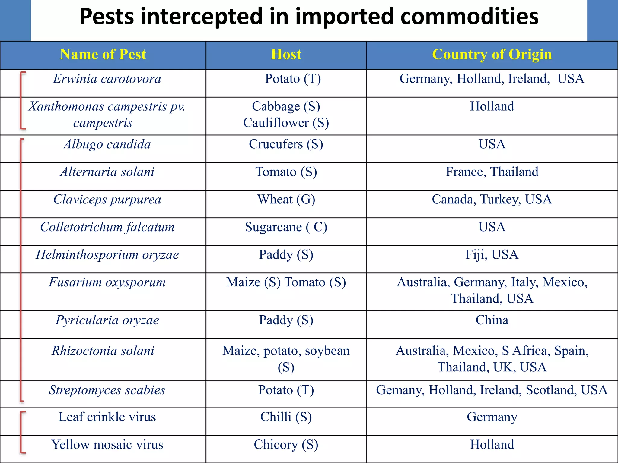 Pest risk analysis | PPTX