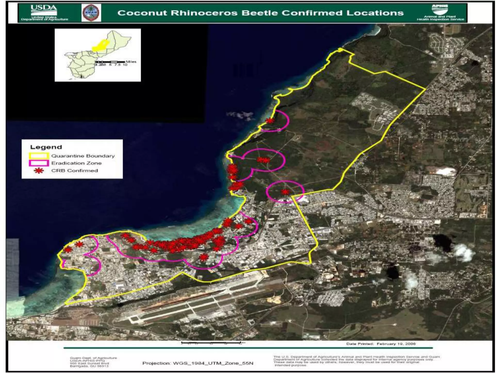 Pest risk analysis | PPTX | Gardening | Home & Garden