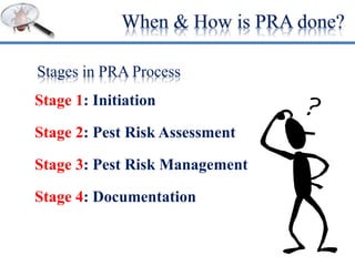 Pest risk analysis | PPTX
