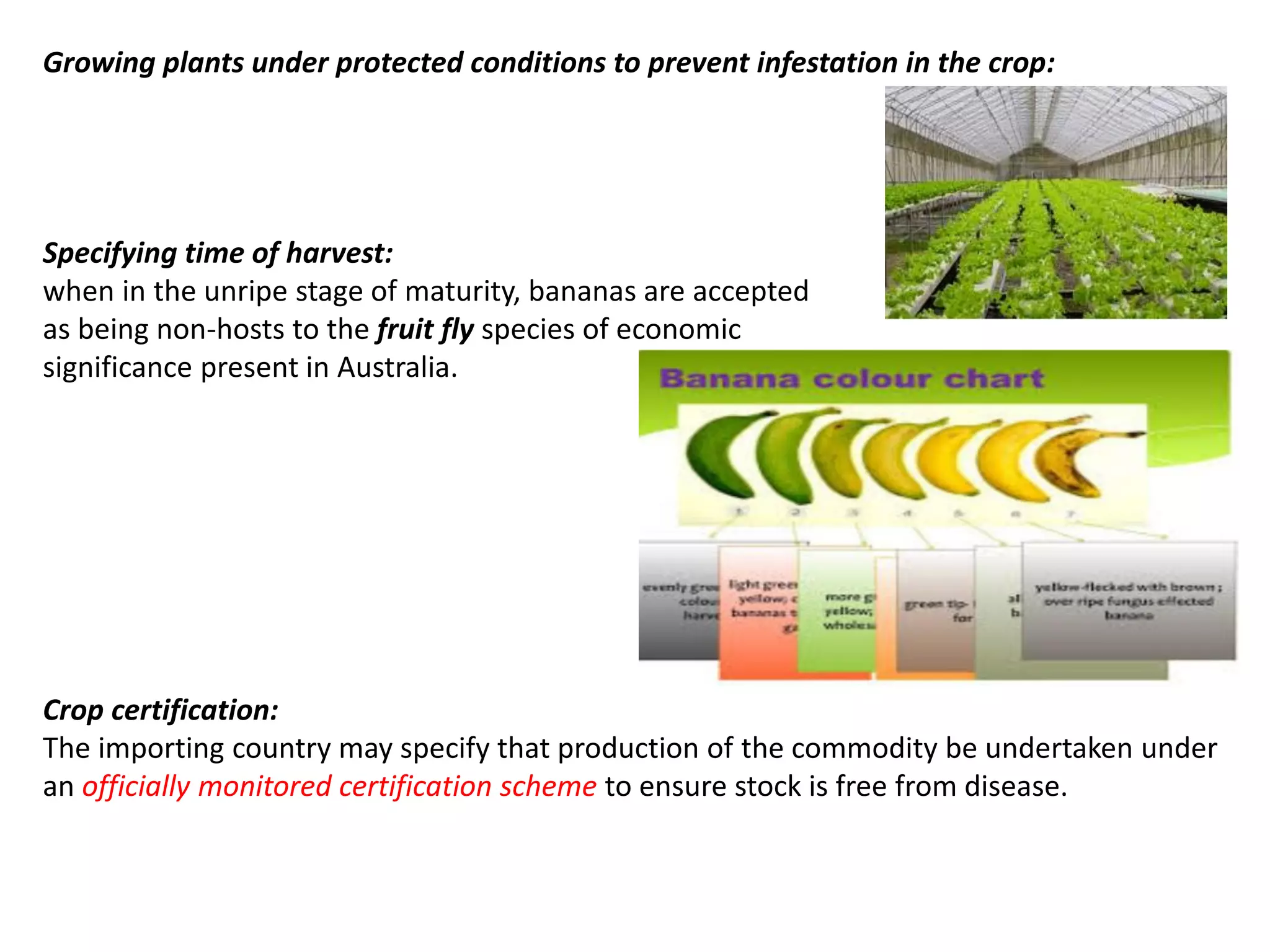 Pest risk analysis | PDF