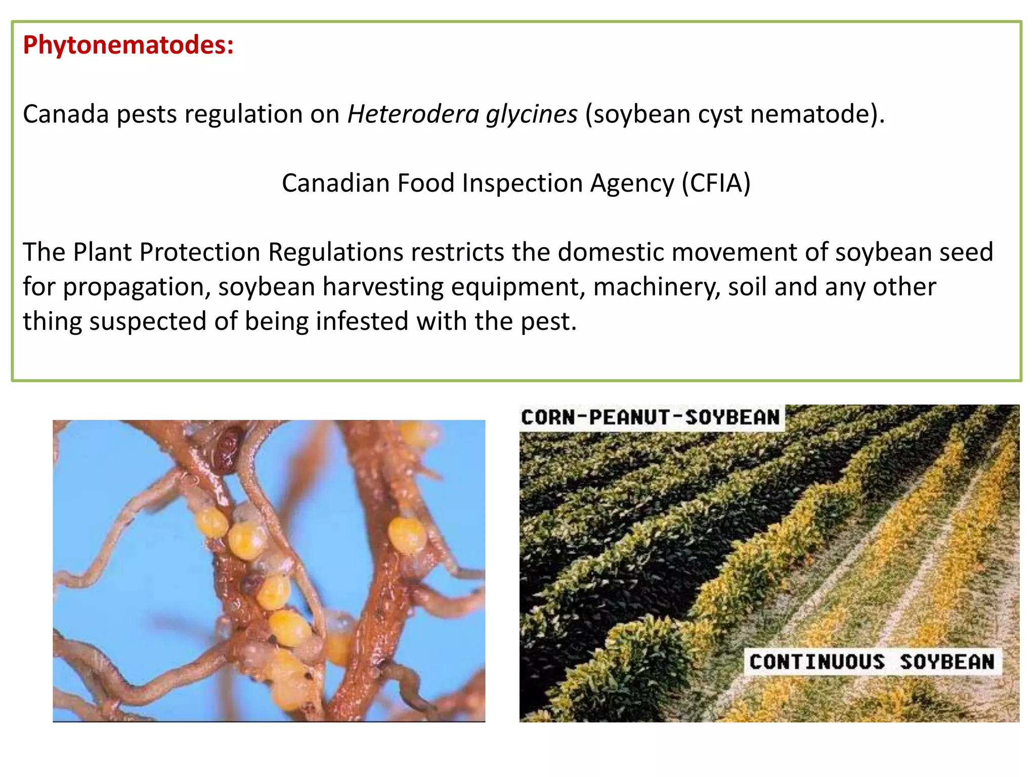 Pest risk analysis | PDF