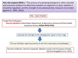 Pest risk analysis | PDF