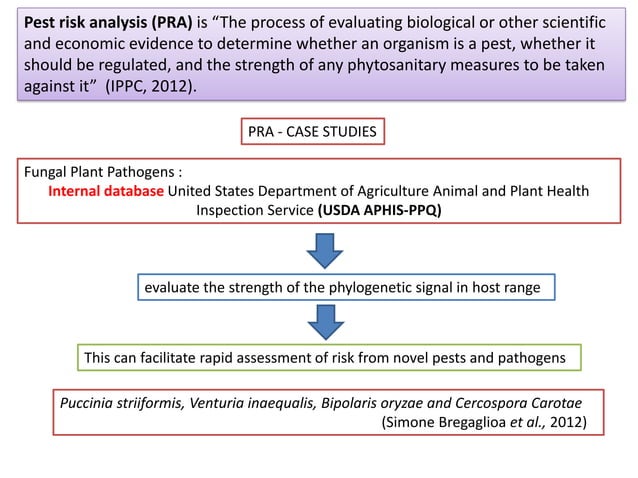 Pest risk analysis | PDF