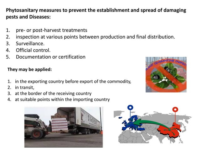 Pest risk analysis | PDF
