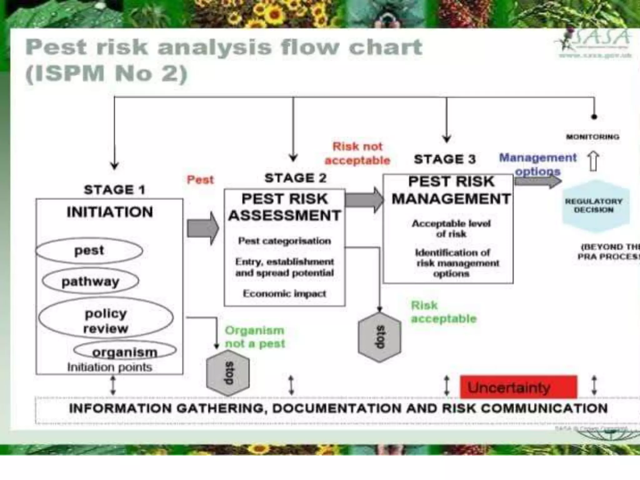 Pest risk analysis and detection and diagnosis. ppt.pptx