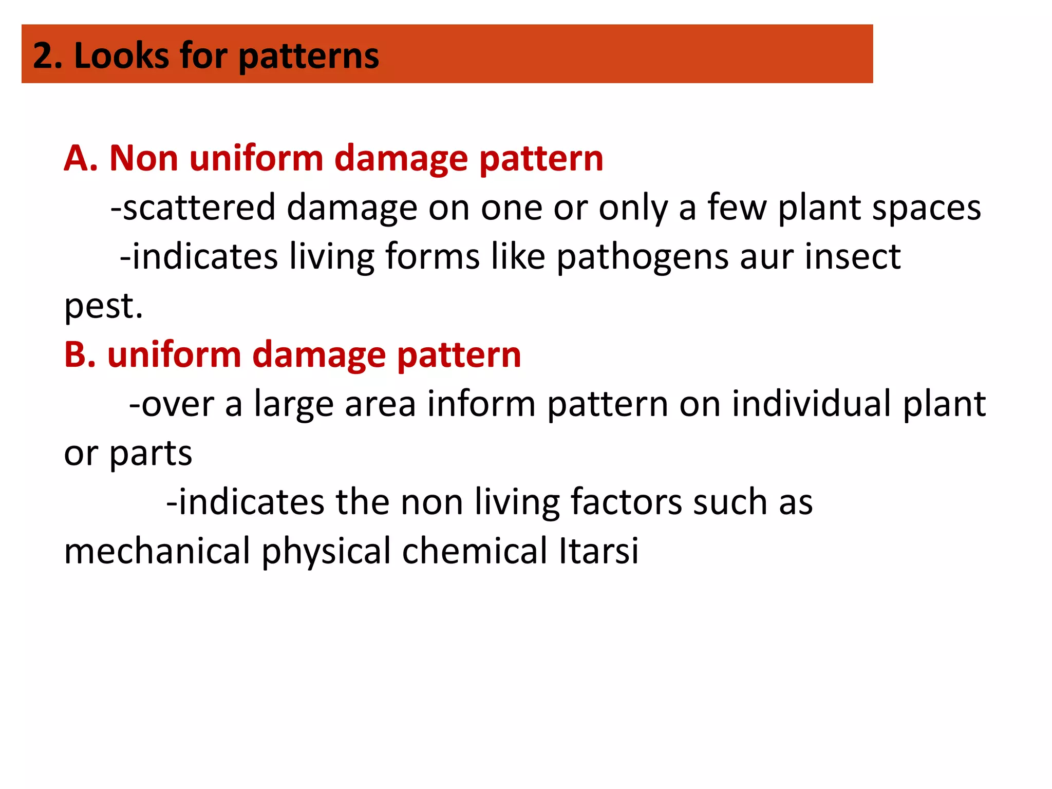Pest Risk Analysis And Detection And Diagnosis Ppt Pptx