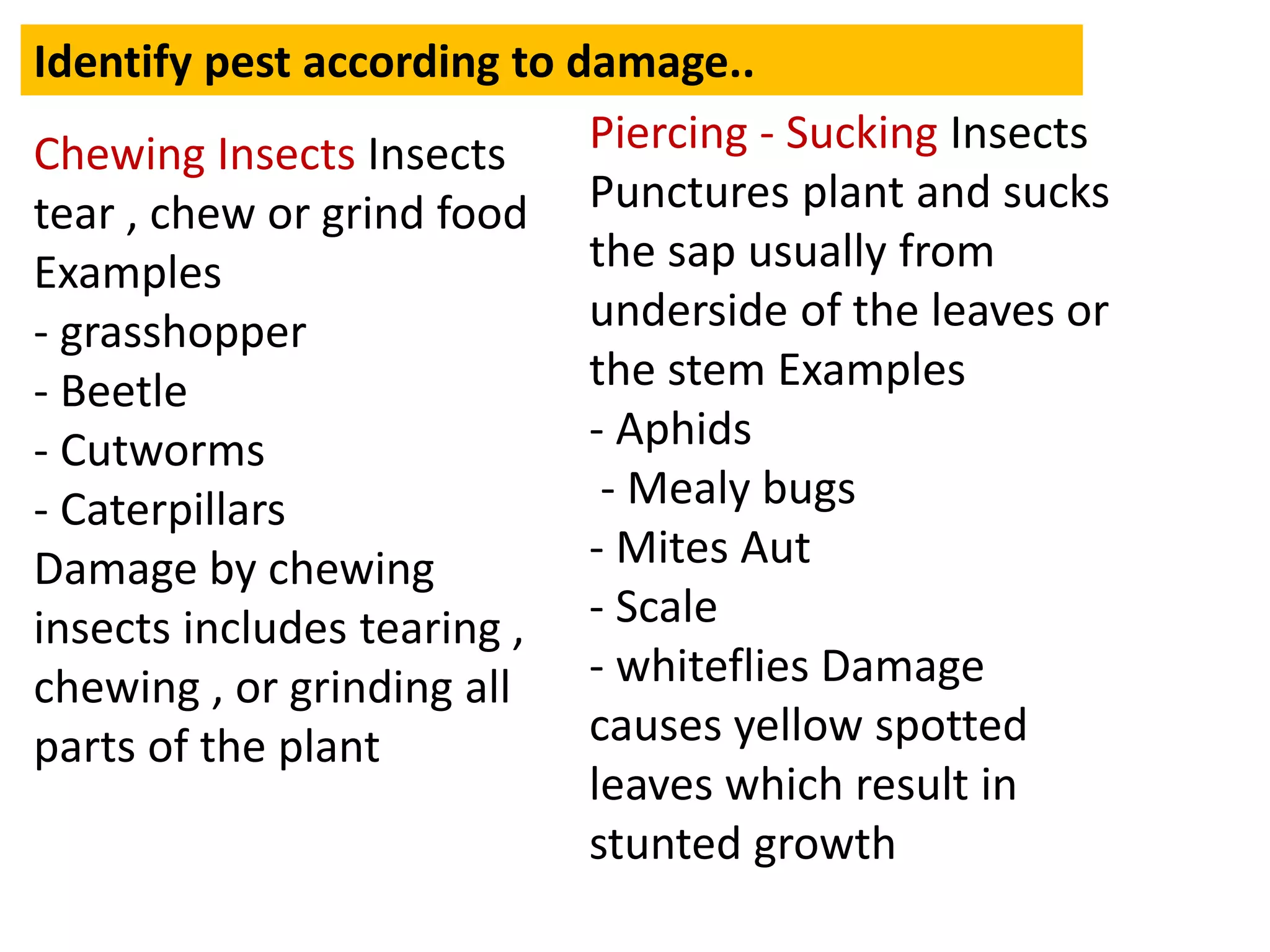 Pest risk analysis and detection and diagnosis. ppt.pptx