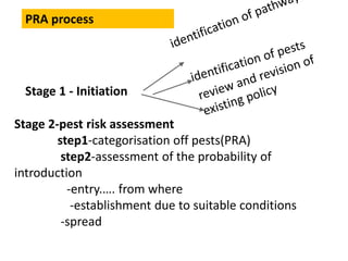 Pest risk analysis and detection and diagnosis. ppt.pptx