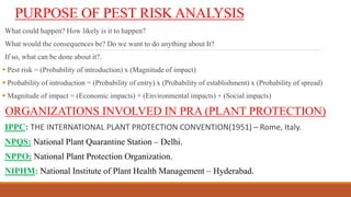 Pest Risk Analysis, Pesticide Risk Analysis and Cost Benefit Ratio.pptx