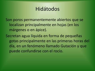 ESTRUCTURAS SECRETORAS DE LAS PLANTAS | PPTX
