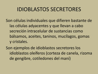 ESTRUCTURAS SECRETORAS DE LAS PLANTAS | PPTX