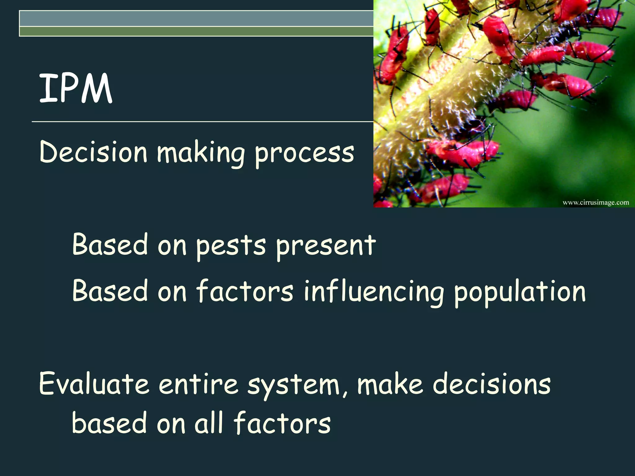 Pests and diseases | PPT