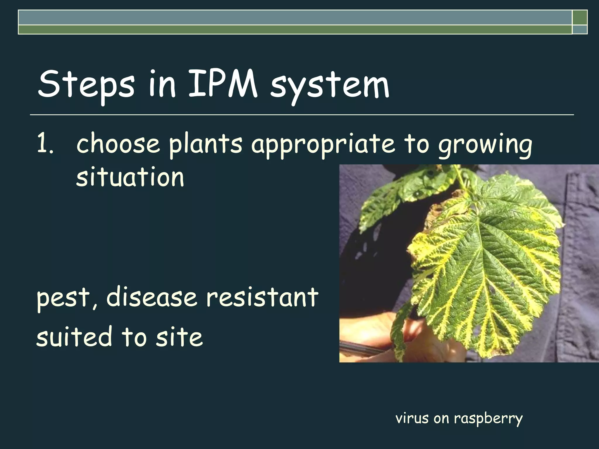 Pests and diseases | PPT