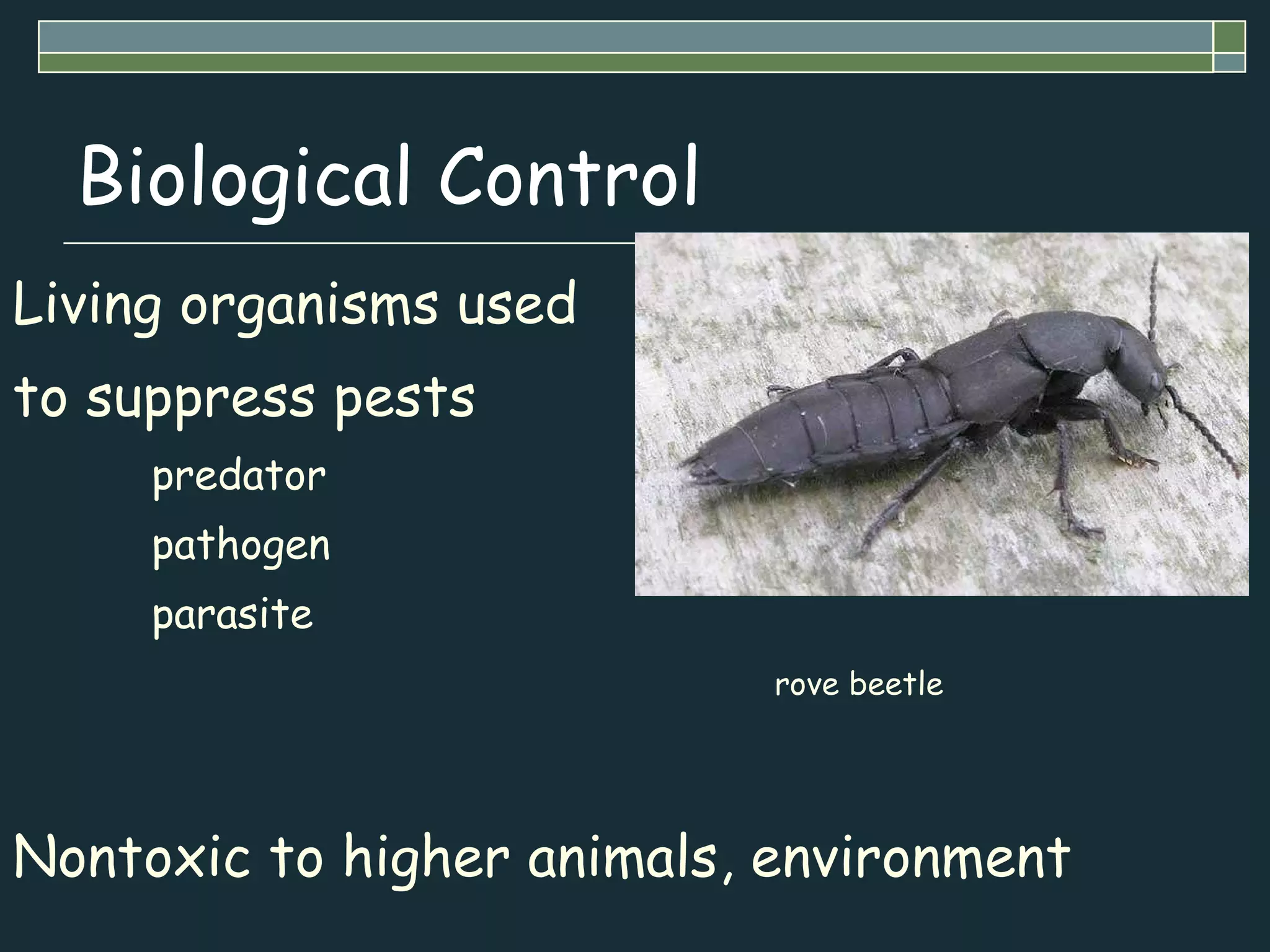 Pests and diseases | PPT