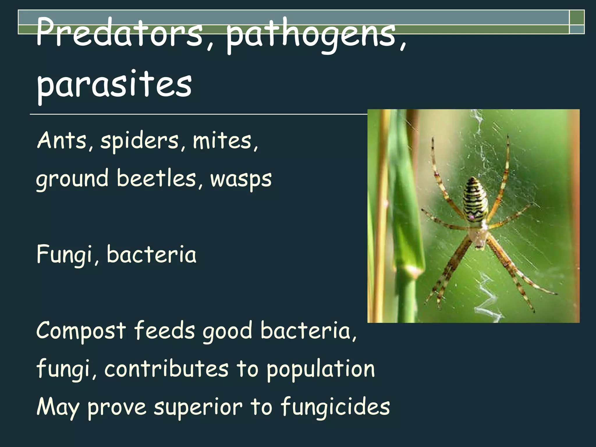 Pests and diseases | PPT