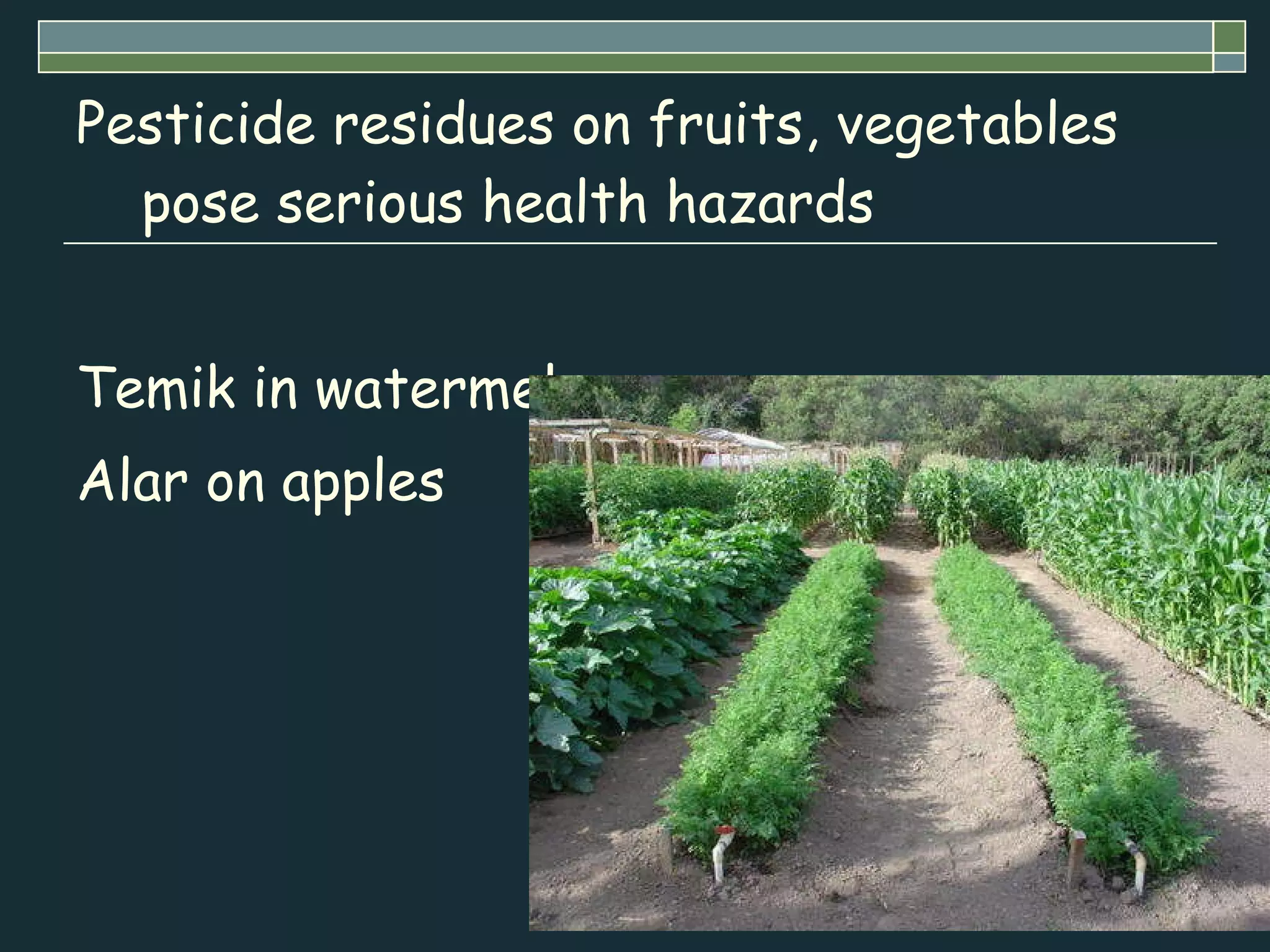 Pests and diseases | PPT