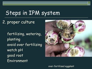 Pests and diseases | PPT