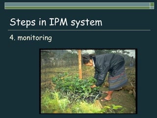 Pests and diseases | PPT