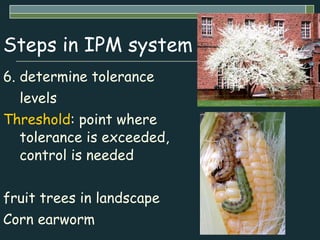 Pests and diseases | PPT
